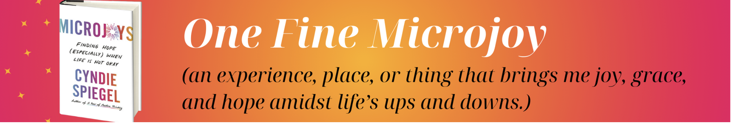 v. 28 Should You Stay or Should You Go?🎶 Discernment, Boundaries and Microjoys — Cyndie Spiegel